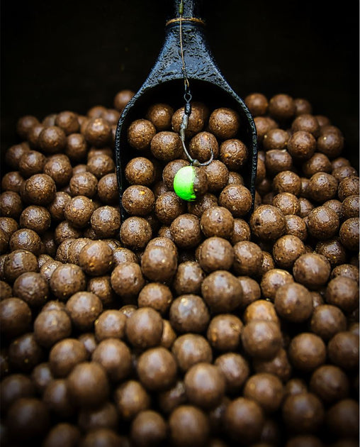 IB Carptrack Monster-Liver Boilie – Imperial Fishing GmbH