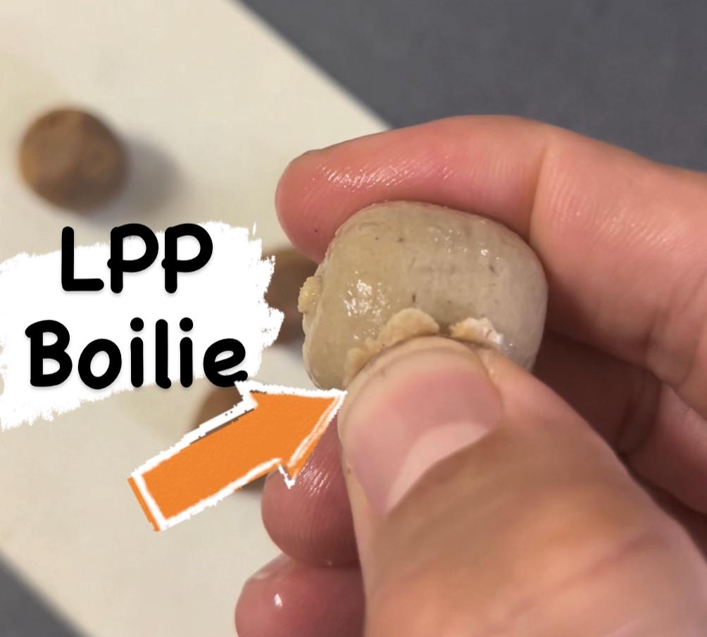 IB Carptrack LPP Boilie - der erste Liquid-Powder-Pasten Boilie ...